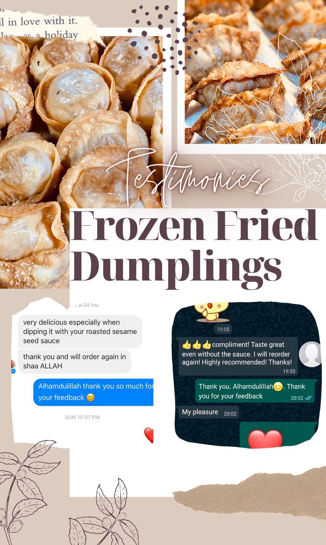 Halal Frozen Fried Dumplings/Mandus, Food & Drinks, Instant Food on ...