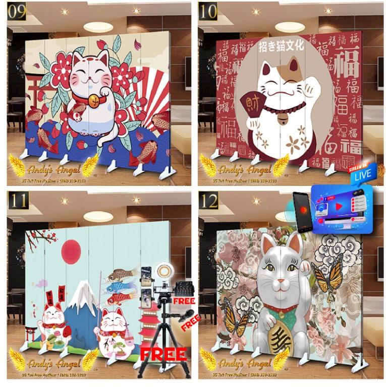 Live Stream Background Divider with live streaming / karaoke set ...