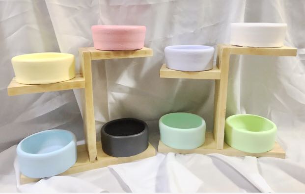 Mini plant display, Furniture & Home Living, Gardening, Plants & Seeds ...