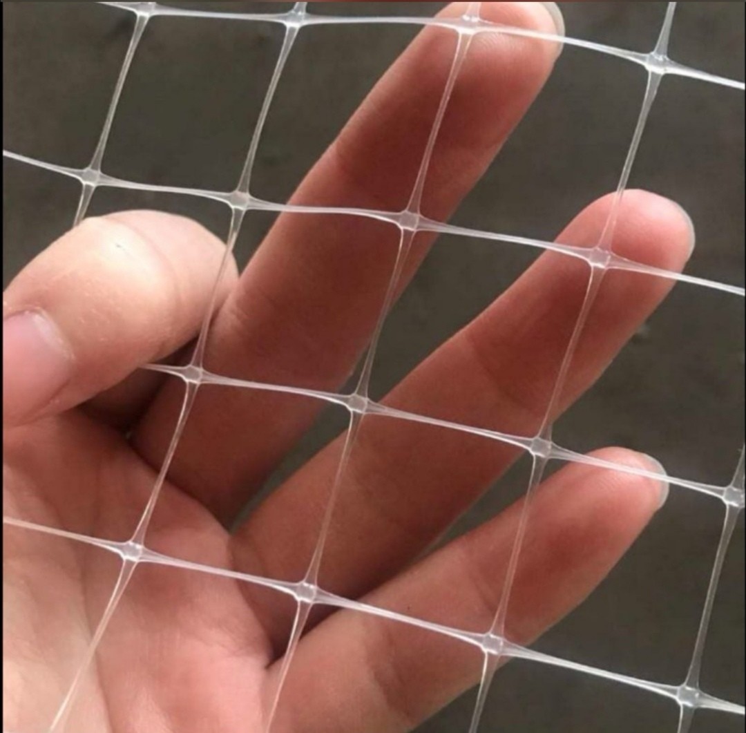 1M x 1M Window transparent cat mesh, Everything Else on Carousell