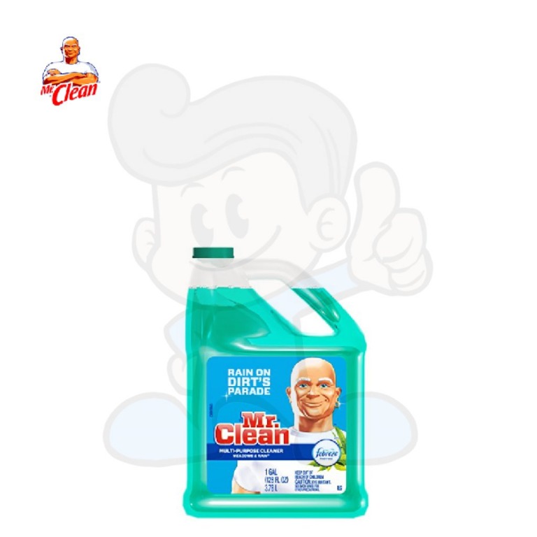Mr. Clean Multipurpose Cleaner Meadows & Rain 3.78 L, Everything Else ...