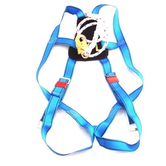 Proguard full body harness & accessories, Everything Else, Others on ...