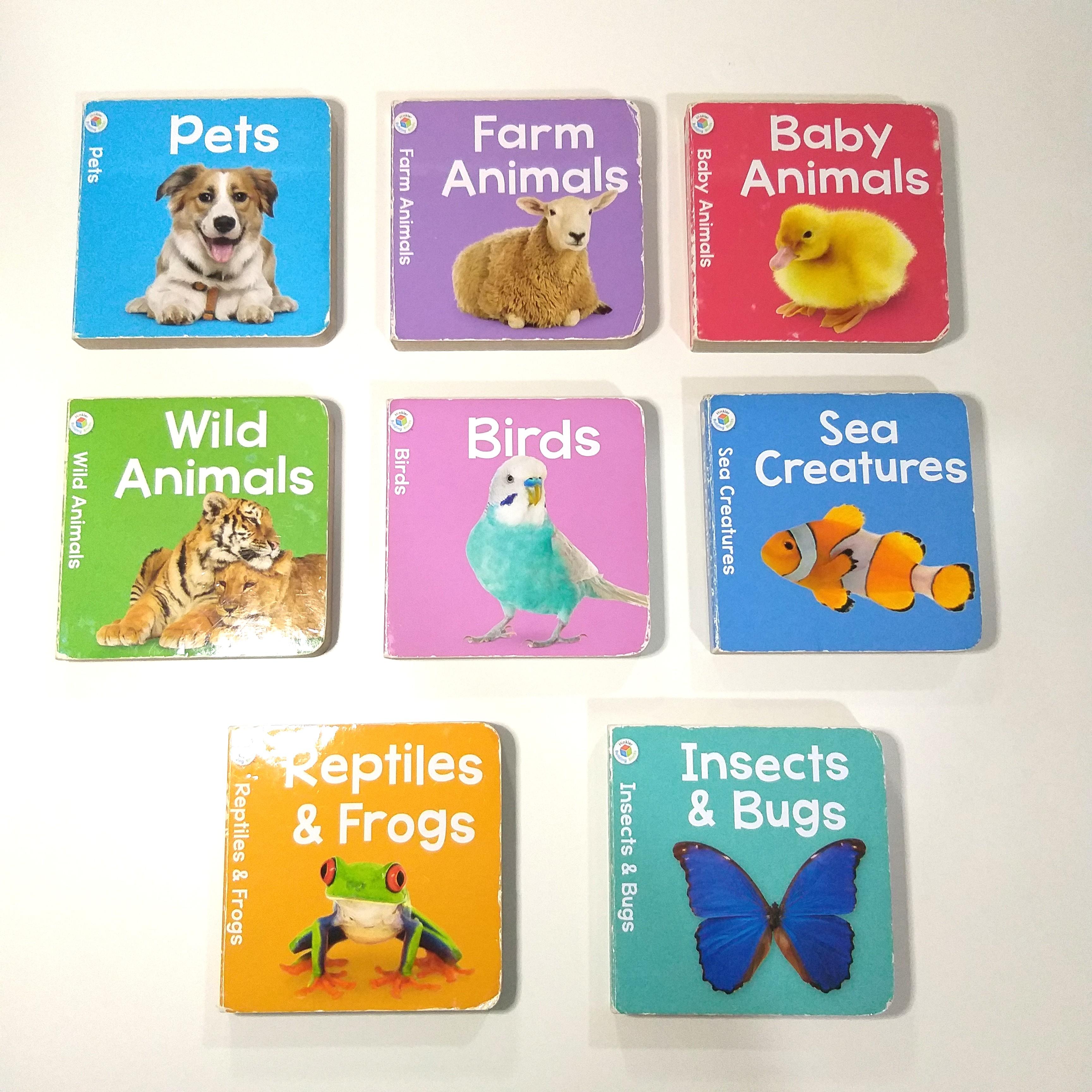 Hinkler Building Blocks Board Book of Animals Set, Hobbies & Toys ...