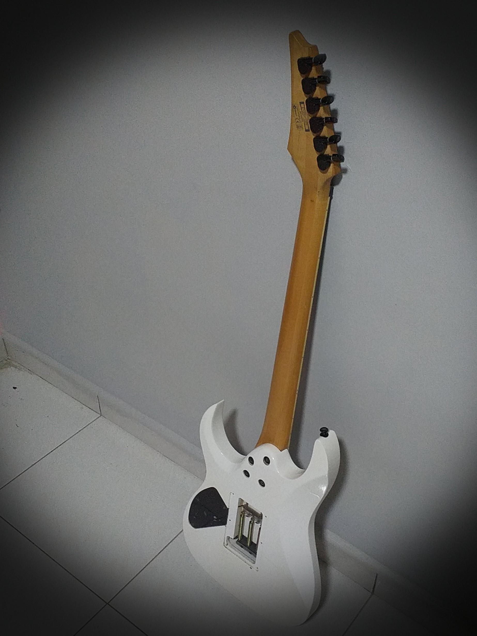 Ibanez RGD 320 Electric Guitar, Hobbies & Toys, Music & Media, Musical ...