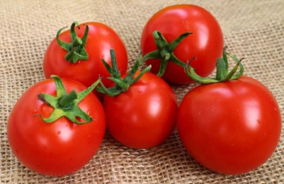 Japanese mini tomato plant, Furniture & Home Living, Gardening, Plants ...