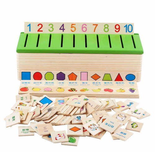 Montessori Knowledge Classification Box, Hobbies & Toys, Books ...