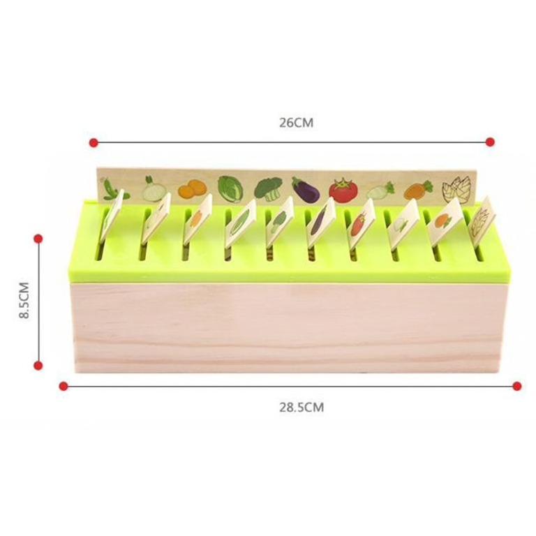 Montessori Knowledge Classification Box, Hobbies & Toys, Books ...