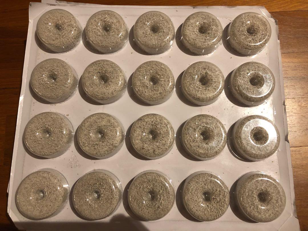 Mosquito dunks bti donuts briquettes, Everything Else on Carousell