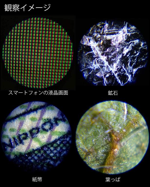 Kenko (Japan) Portable Microscope STV-120M Children Magnifying Glass ...