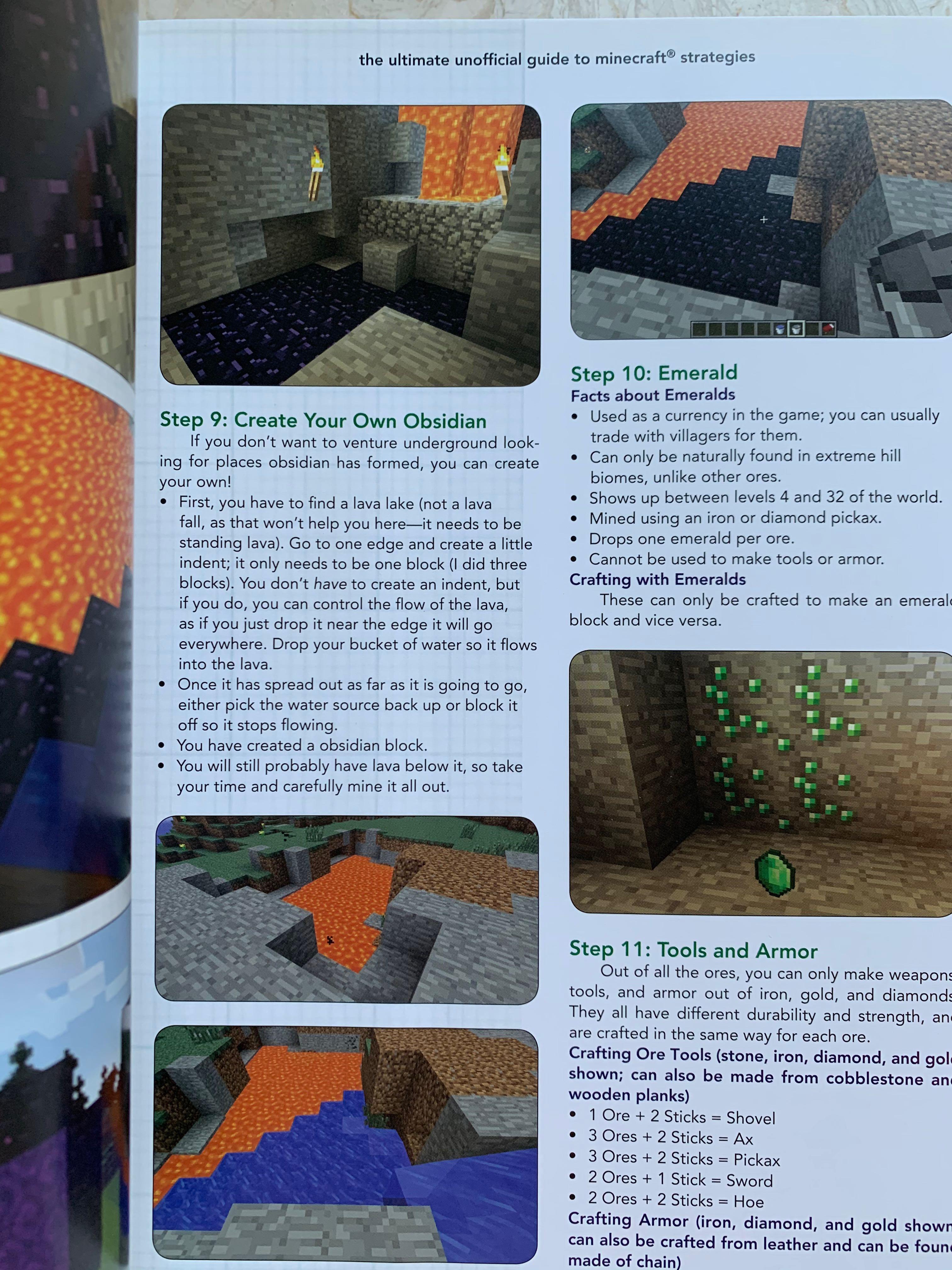 Ultimate Unofficial Guide to Minecraft Strategies, Hobbies & Toys ...