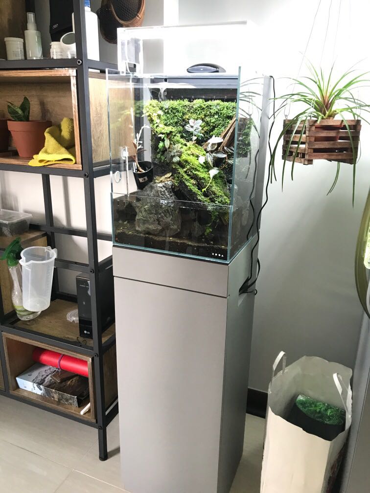 Used : DOOA tank full setup - $800, Pet Supplies, Homes & Other Pet ...