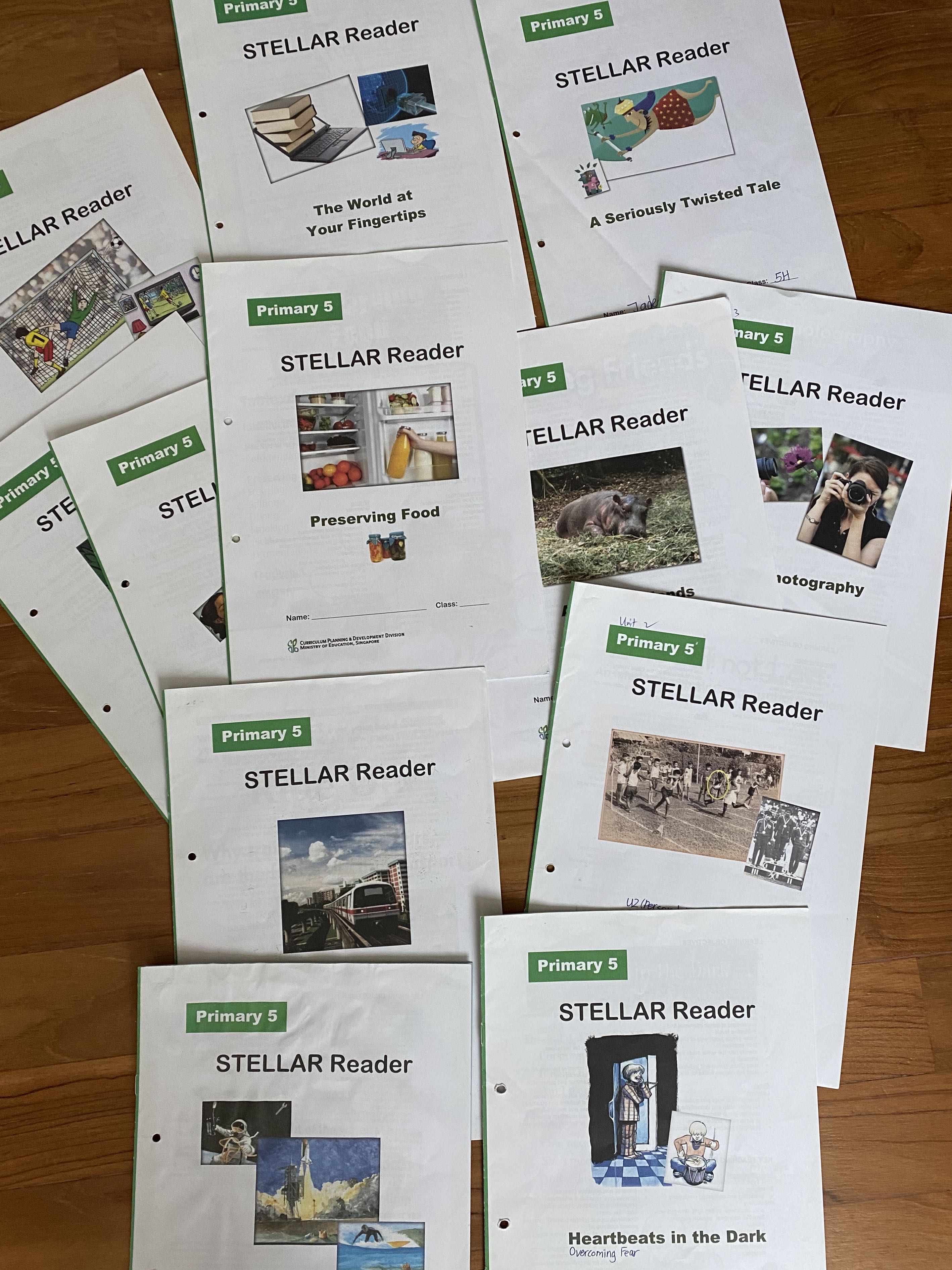 Stellar Reader p5&6, Hobbies & Toys, Books & Magazines, Assessment ...