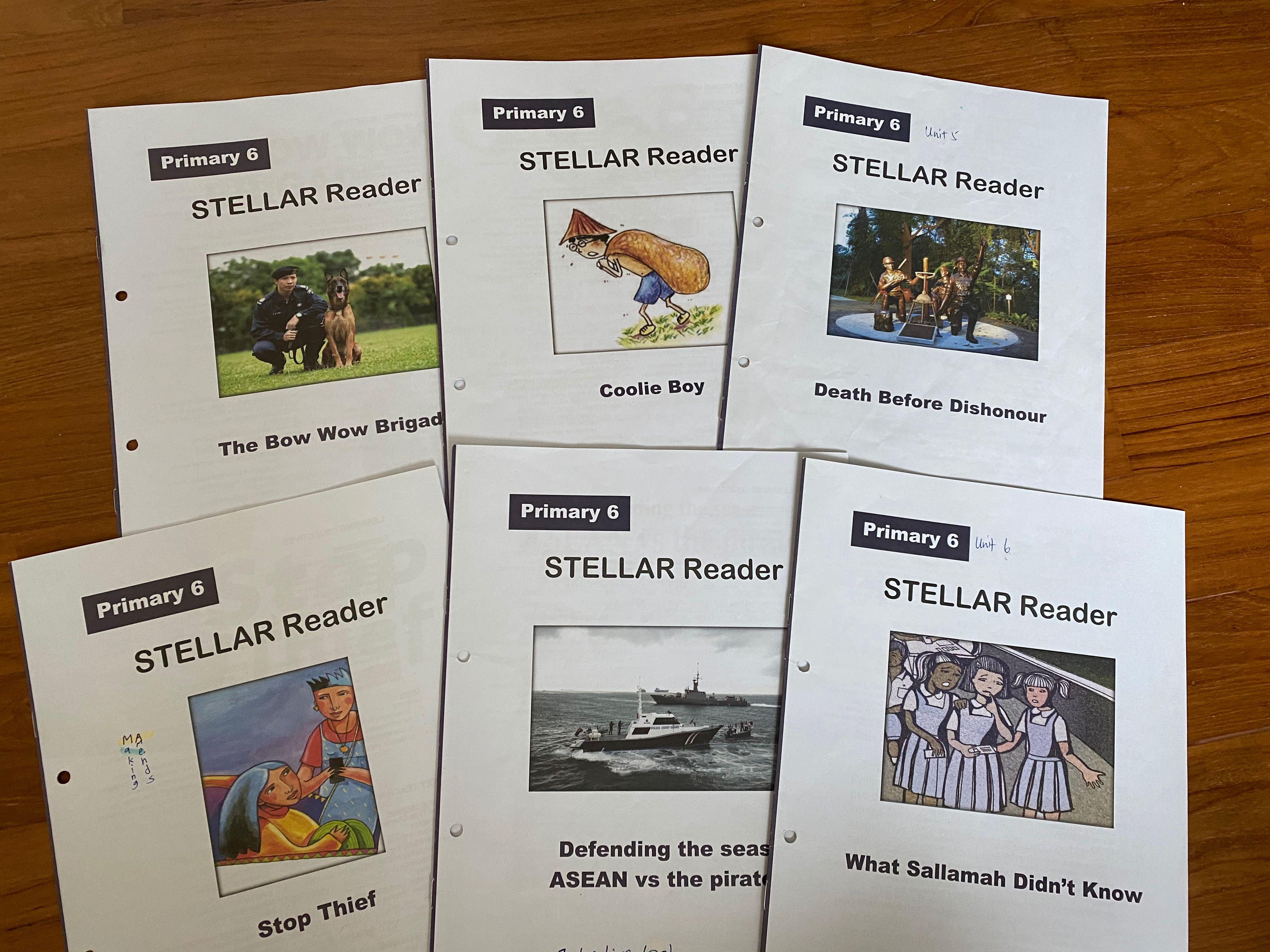 Stellar Reader p5&6, Hobbies & Toys, Books & Magazines, Assessment ...
