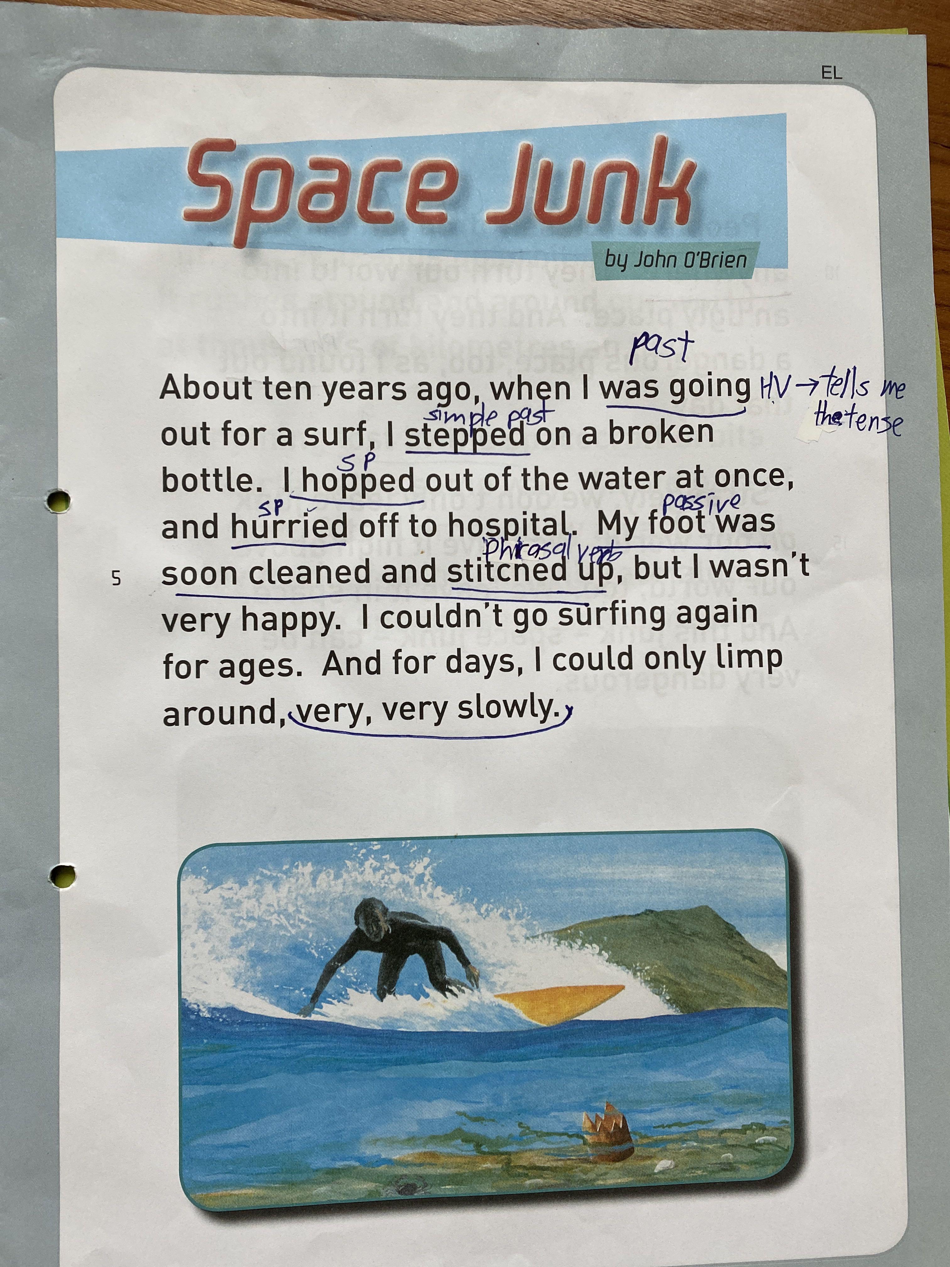 Stellar Reader p5&6, Hobbies & Toys, Books & Magazines, Assessment ...