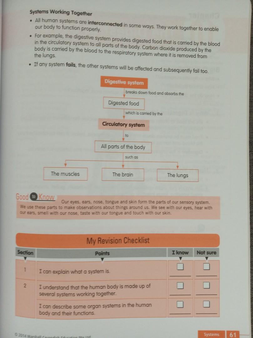 Science Revision Guide Primary 3 and 4, Hobbies & Toys, Books ...