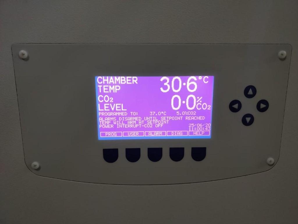 USED New Brunswick Galaxy 170R CO2 Incubator @$600, Sports Equipment ...
