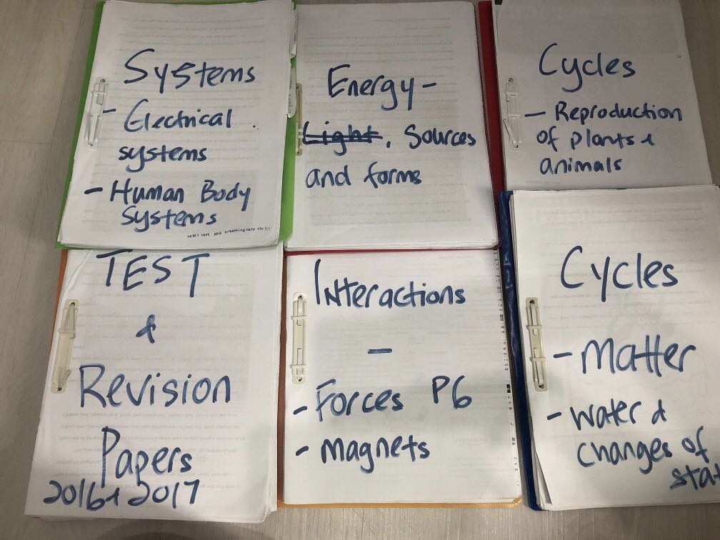Psle P6 Science Notes (including P4& P5 Energy), Hobbies & Toys, Books ...