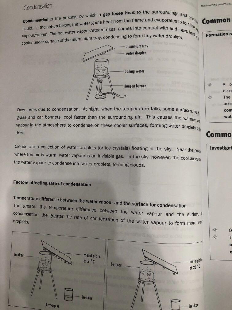 Psle P6 Science Notes (including P4& P5 Energy), Hobbies & Toys, Books ...