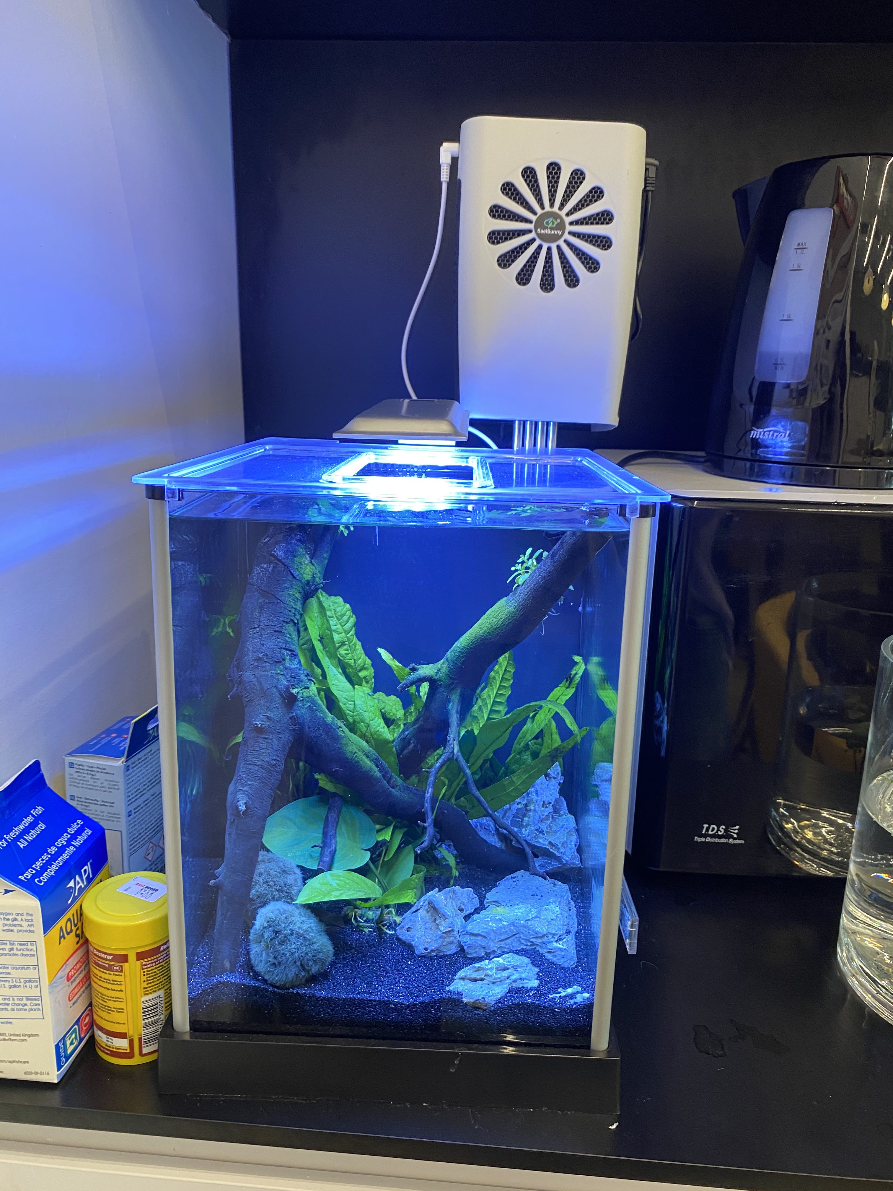 Fluval spec 10 litre, Pet Supplies, For Fish, Fish Tanks on Carousell