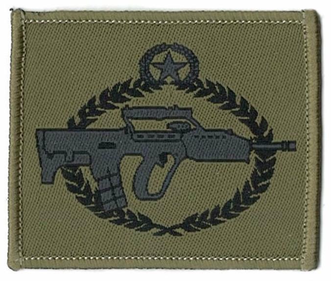 COMBAT SKILLS BADGES (CSB) FOR NO.4 - BASIC ($1), ADVANCED ($4), MASTER ...