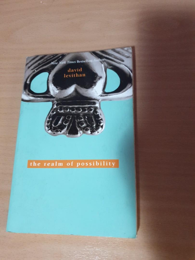 The realm of possibility - David Levithan, Hobbies & Toys, Books ...
