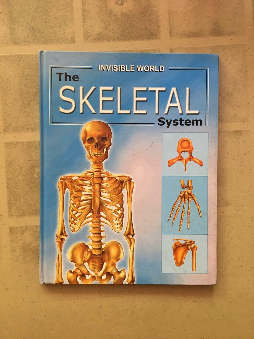 The Skeletal System (book), Hobbies & Toys, Books & Magazines, Children ...