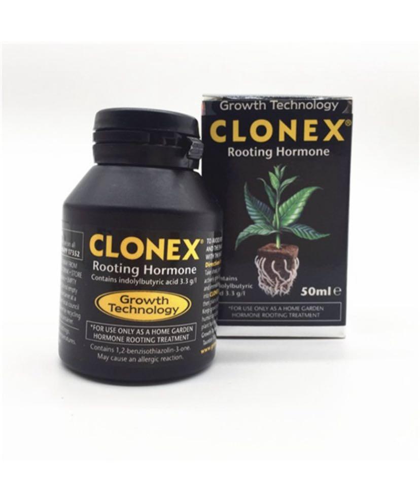 Clonex Rooting Hormone 生根凝膠 塊根陶瓷黑煌塊根植物象牙宮黑王丸橄欖象足漆樹沒藥珍奇植物多肉, 傢俬＆家居, 園藝 ...