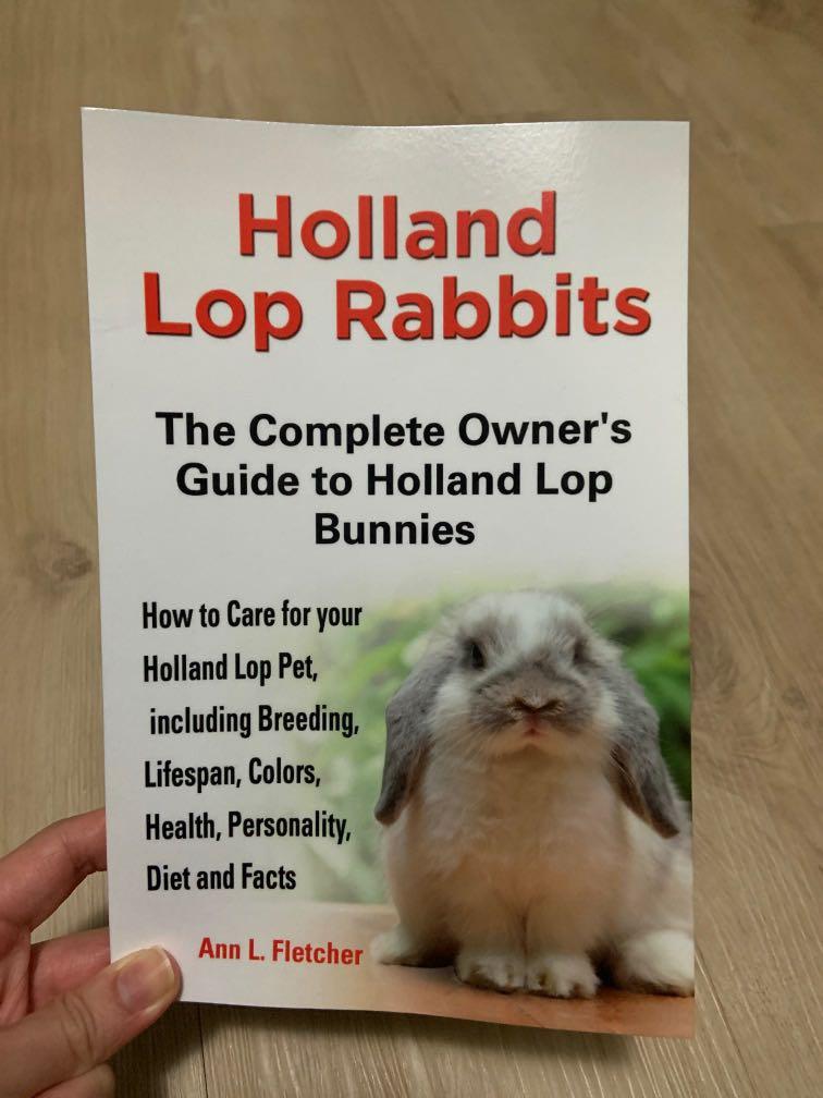 Holland Lop Rabbit guide book, Hobbies & Toys, Books & Magazines ...