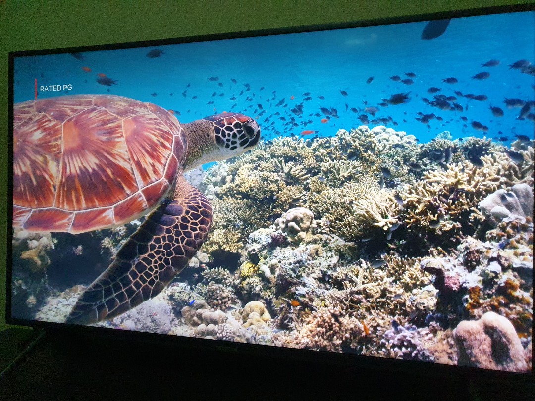 Samsung 49 inch ULTRA HD 4K HDR Smart LED TV UA49NU7100, TV & Home ...