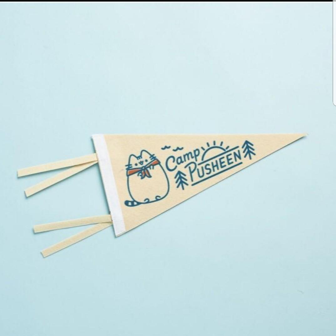 Pusheen Camping Subscription box 2020, Hobbies & Toys, Toys & Games on ...