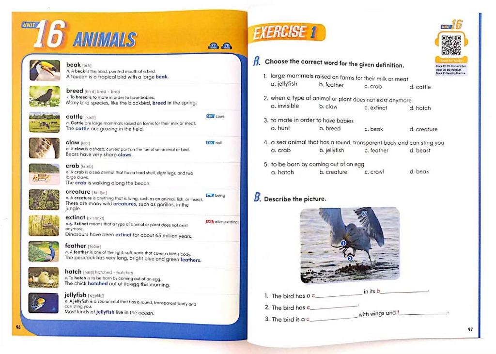 [SG STOCK]2000 Basic English Words Set of 4, Books & Stationery ...