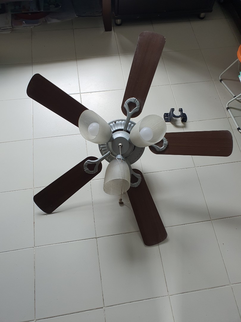 Amasco Ceiling Fan Singapore Review | Shelly Lighting