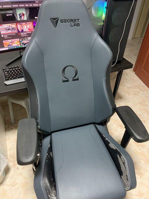 Ash grey secret lab omega, Video Gaming, Video Game Consoles, Others on ...