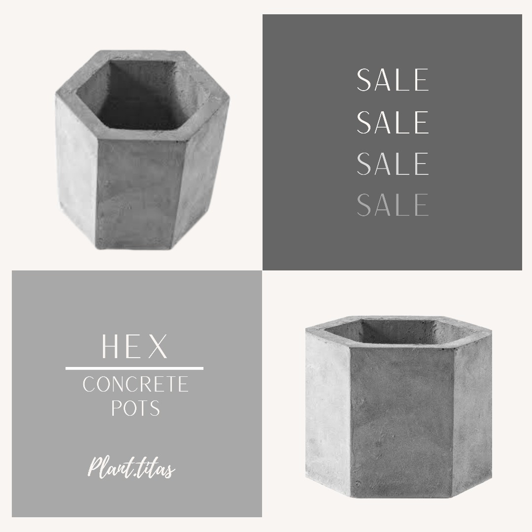 "Hex" Concrete Pots, Furniture & Home Living, Gardening, Gardening ...