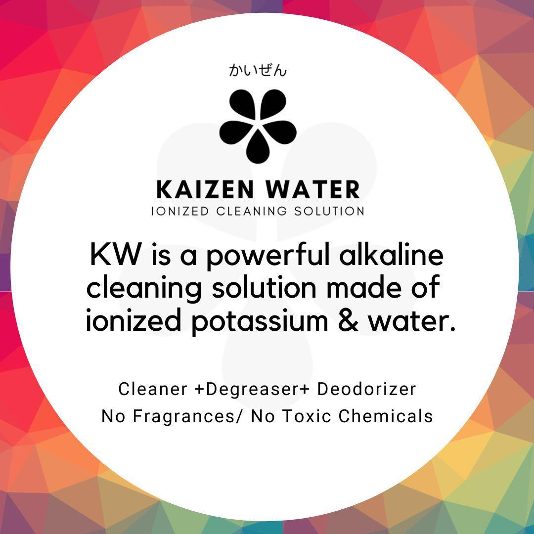 Kaizen Water- all around ionized alkaline cleaning solution, Beauty ...