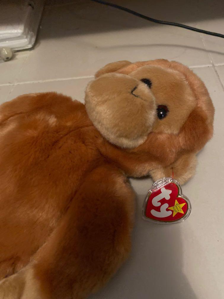 Monkey Beanie Buddy TY Bongo, Hobbies & Toys, Toys & Games on Carousell