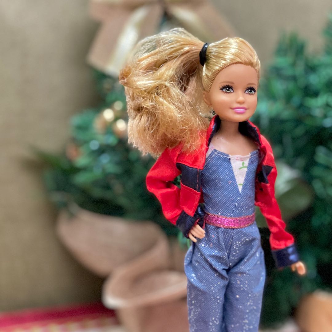 Barbie Stacie Doll with outfit , Hobbies & Toys, Toys & Games on Carousell