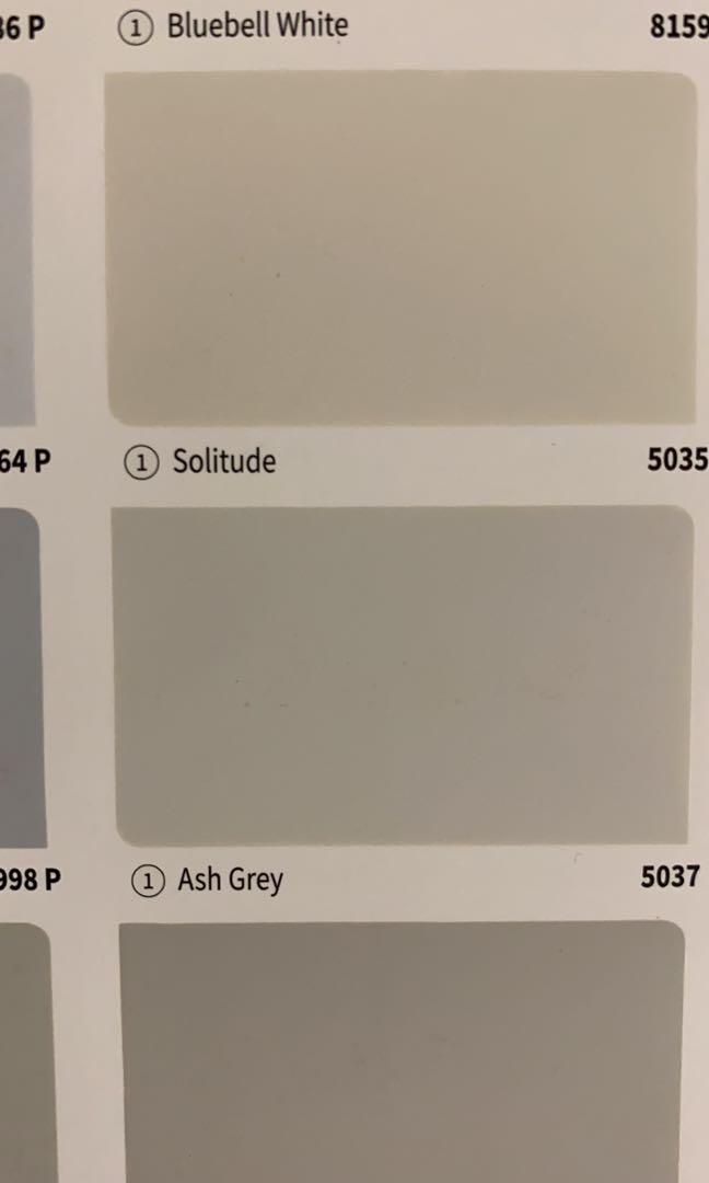 Nippon Paint Odorless All in 1, Everything Else on Carousell