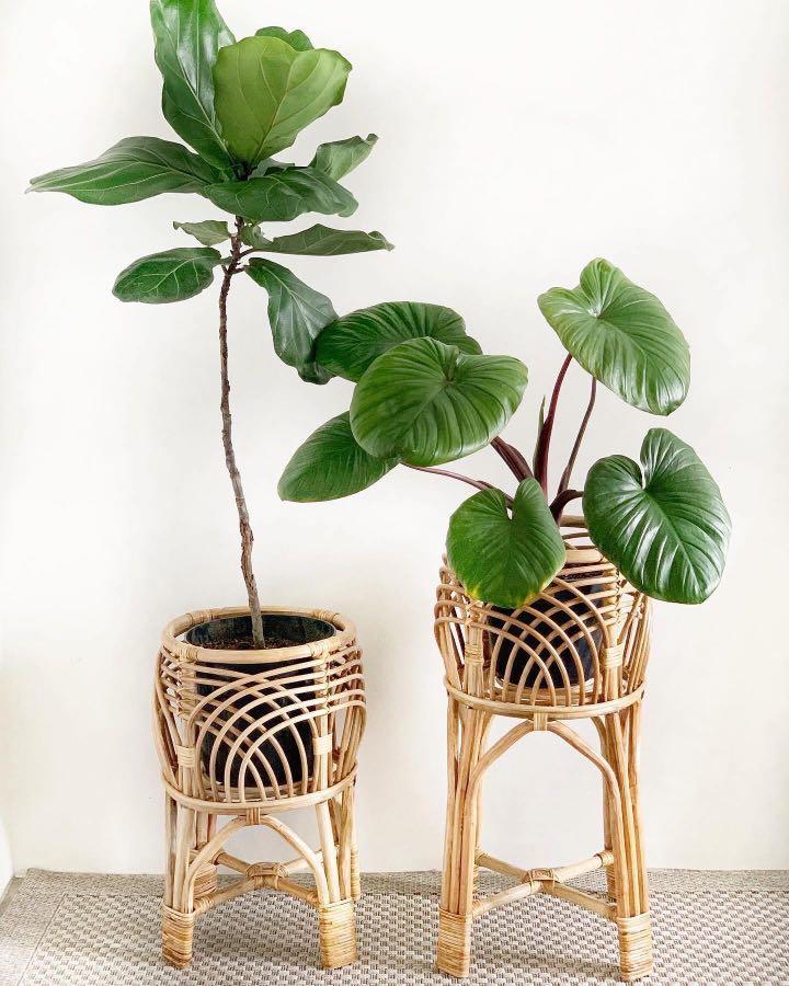 Rattan Stands Set Rattan Plant Stand Rattan Planters Rattan Stands ...