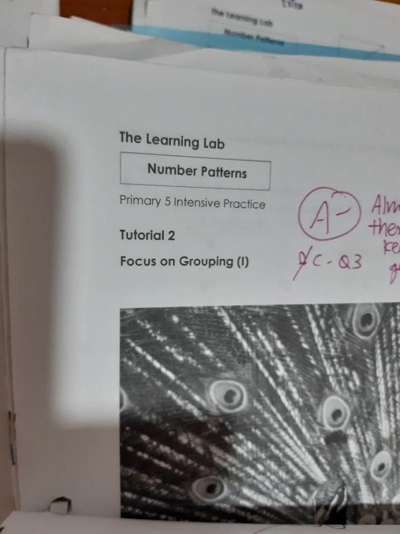 The Learning Lab PSLE Maths Notes/ Worksheets, Hobbies & Toys, Books ...