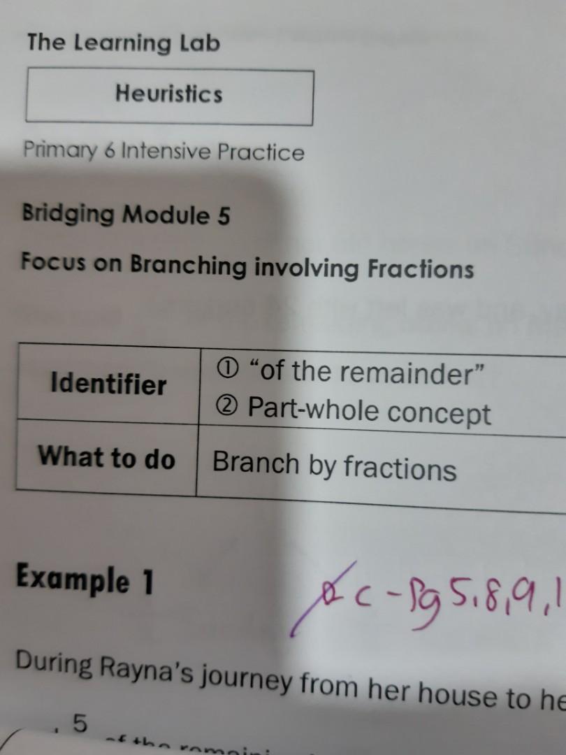 The Learning Lab PSLE Maths Notes/ Worksheets, Hobbies & Toys, Books ...