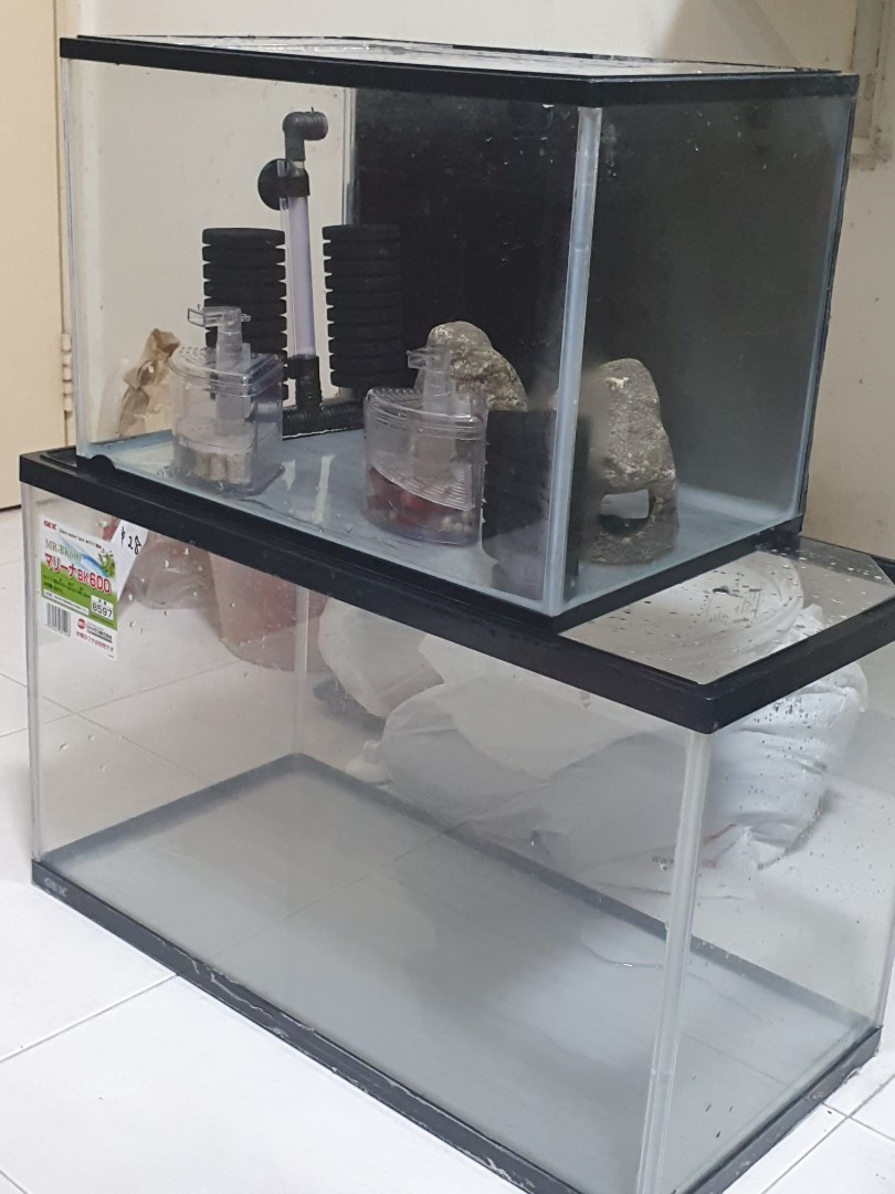 2ft and 1.5 ft tank with lots of freebies, Pet Supplies, Homes & Other ...