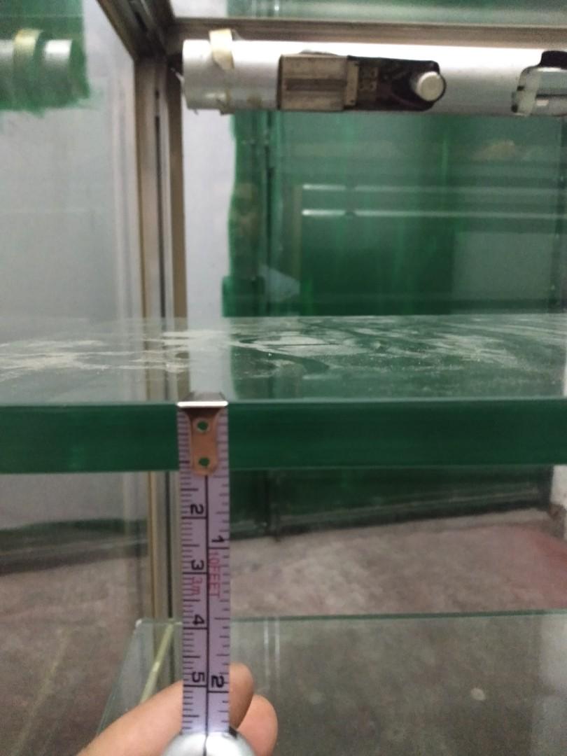 Rush Glass Stante, Furniture & Home Living, Furniture, Shelves ...