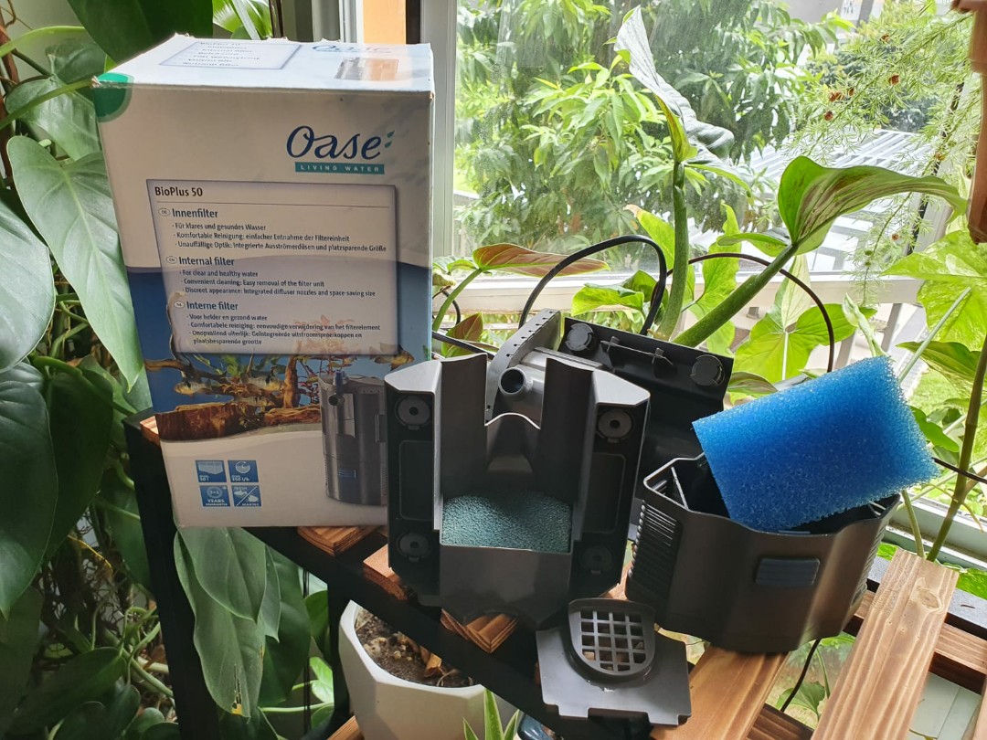 Oase BioPlus 50, Pet Supplies, Homes & Other Pet Accessories on Carousell