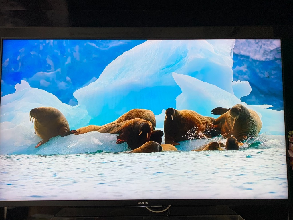 Sony Bravia KDL-50W800C, TV & Home Appliances, TV & Entertainment, TV ...