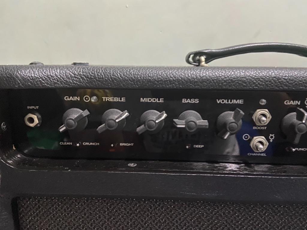 Bogner Alchemist 40watt tube amplifier head, Hobbies & Toys, Music ...