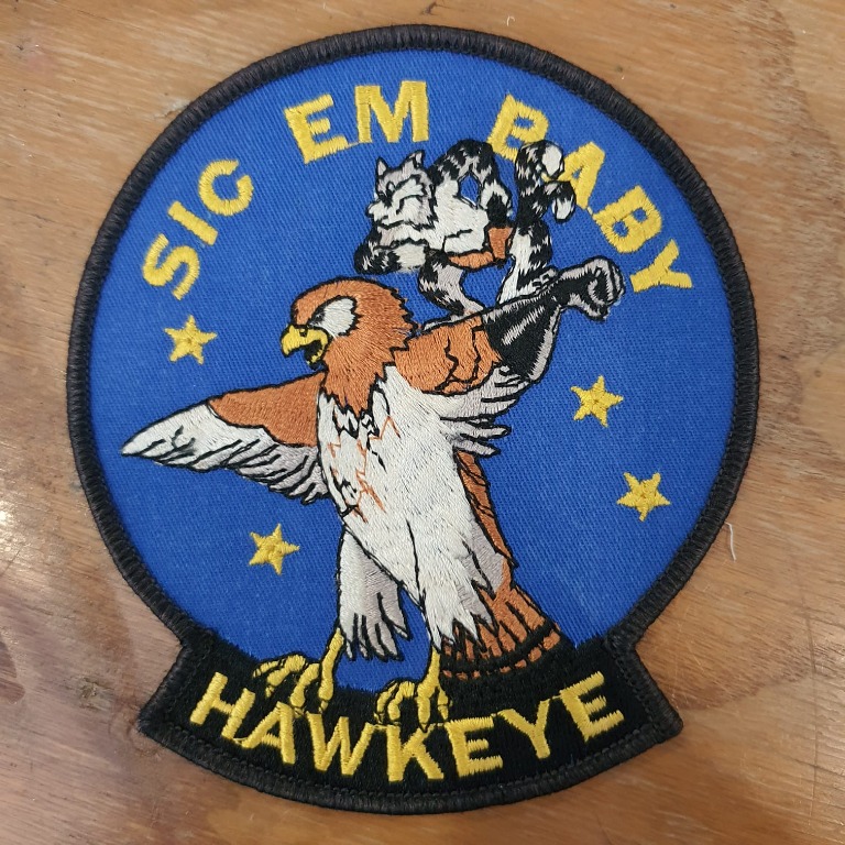 SIC EM BABY F-14 TOMCAT GRUMMAN E-2 HAWKEYE US Navy VAW- Squadron Patch ...