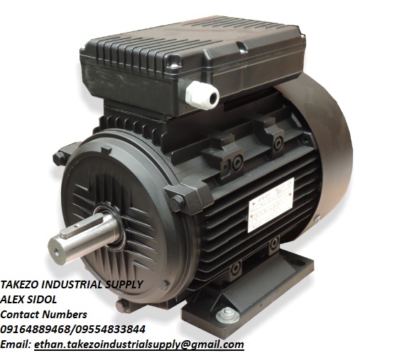 DL SERIES ELECTRIC MOTOR, Commercial & Industrial, Construction Tools ...