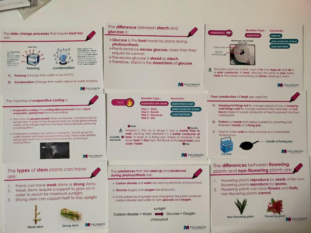 PSLE Science Flashcards PolyMath Learning, Hobbies & Toys, Books ...