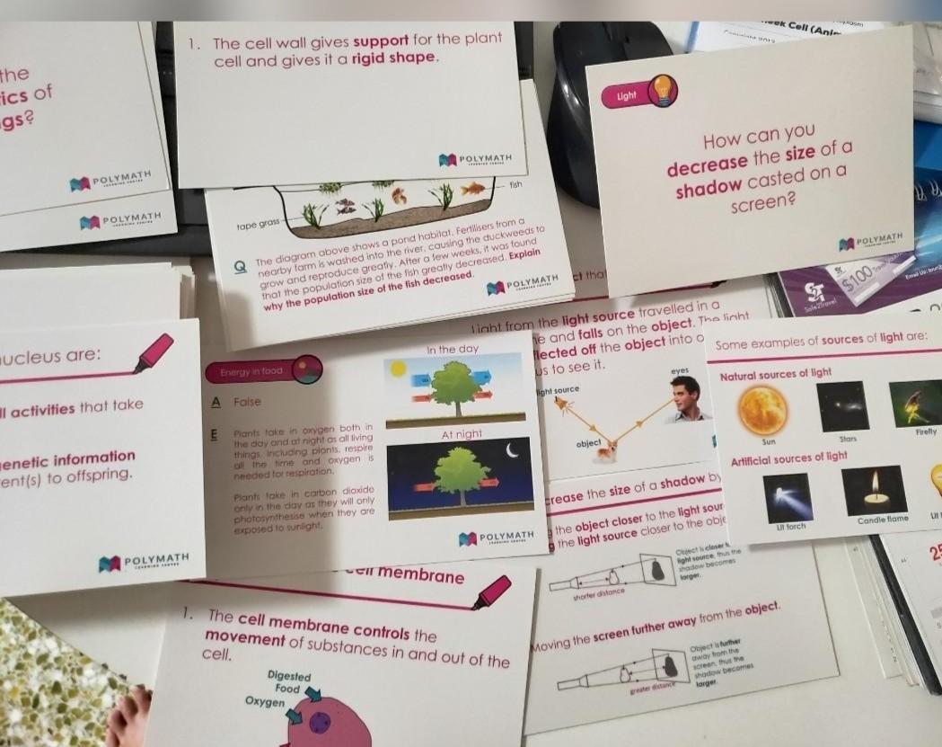 PSLE Science Flashcards PolyMath Learning, Hobbies & Toys, Books ...